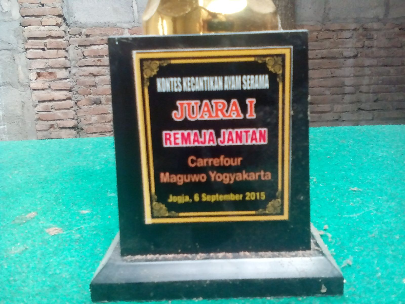 Ayam Serama Juara