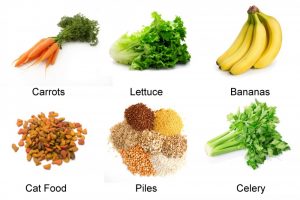 What Do Peacocks Eat? Knowing These 5 Types of Peacock Food